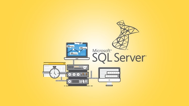 Tổng hợp 4+ cách export Database SQL Server chi tiết 2024